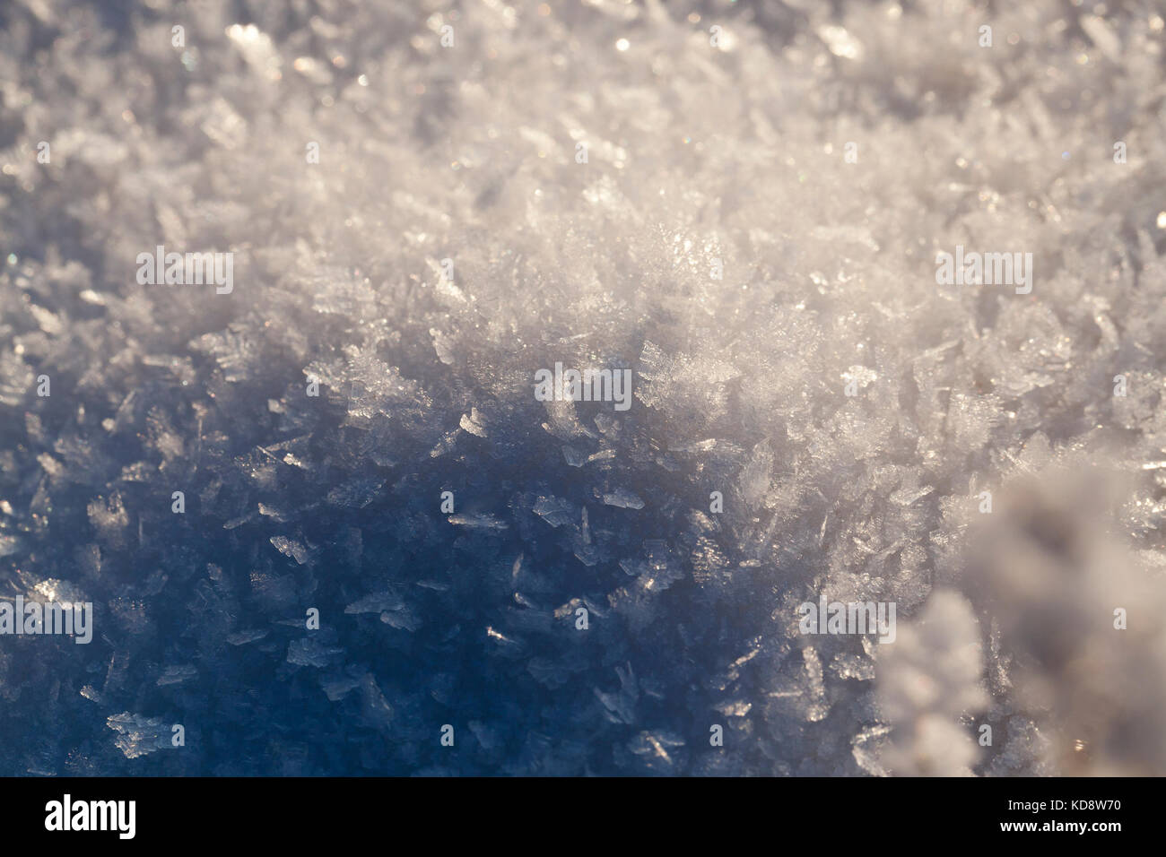 Snow crystals winter Stock Photo - Alamy
