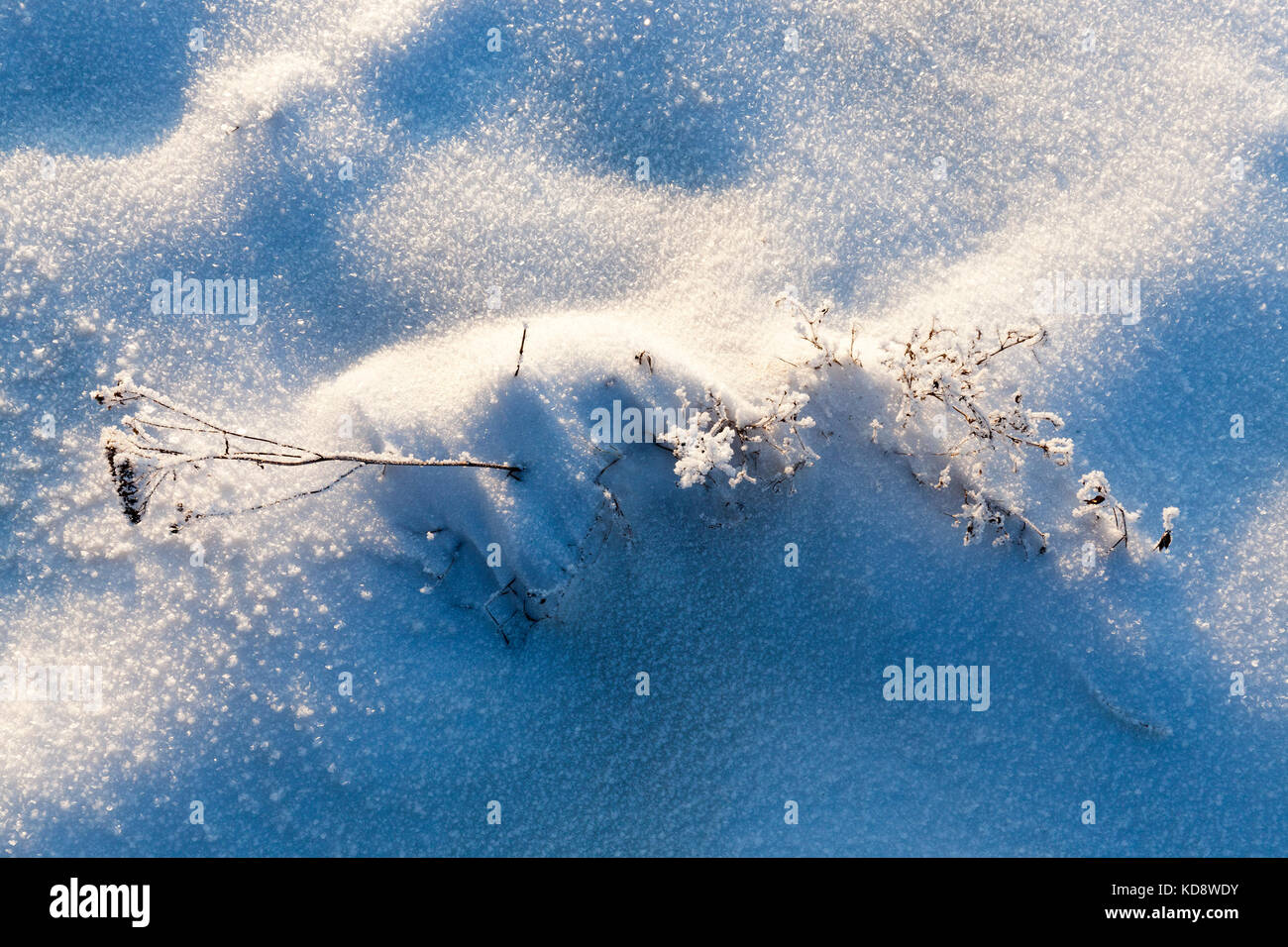 Snow drifts in winter Stock Photo - Alamy