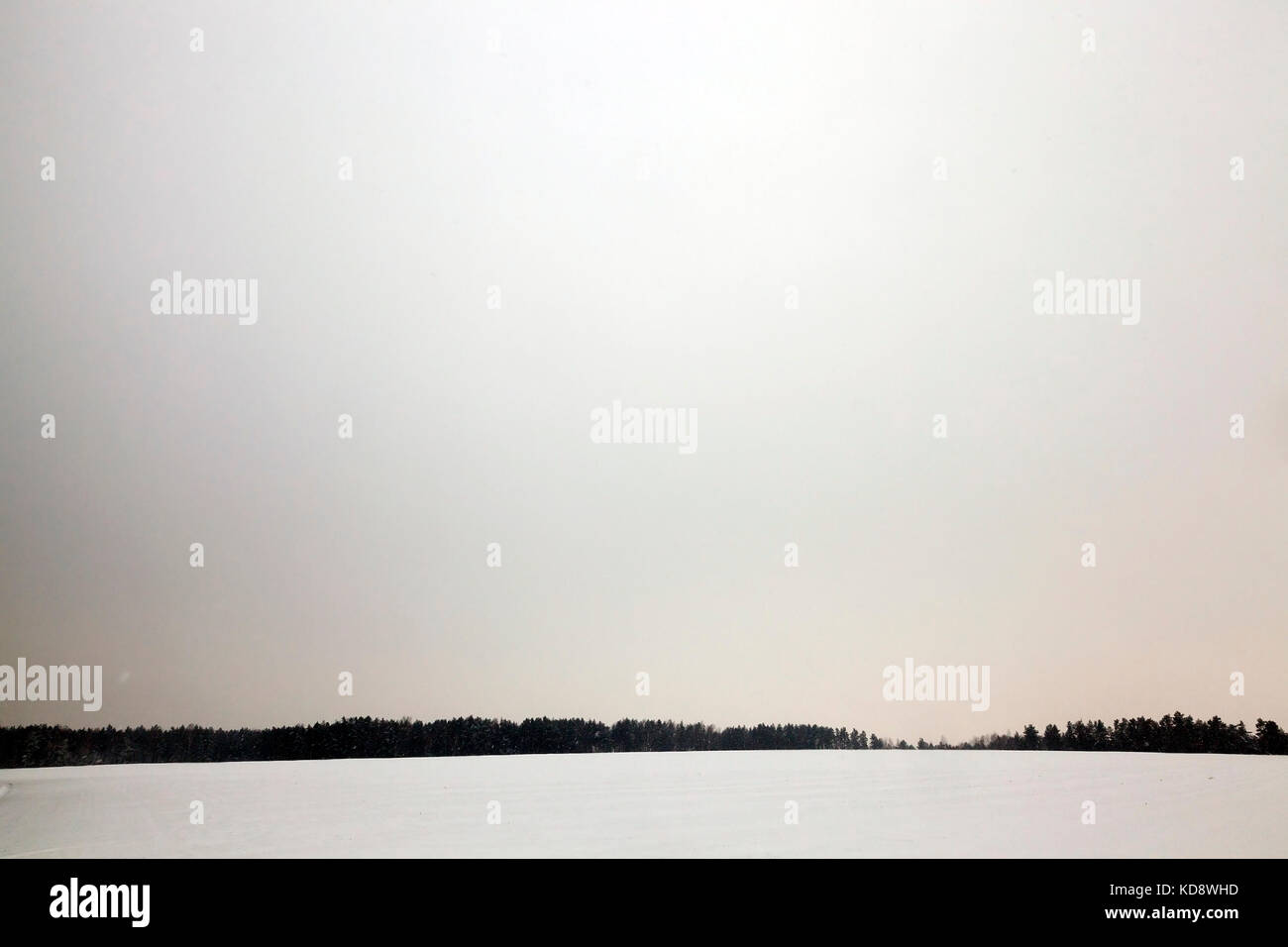 Winter landscape, snowfall Stock Photo - Alamy