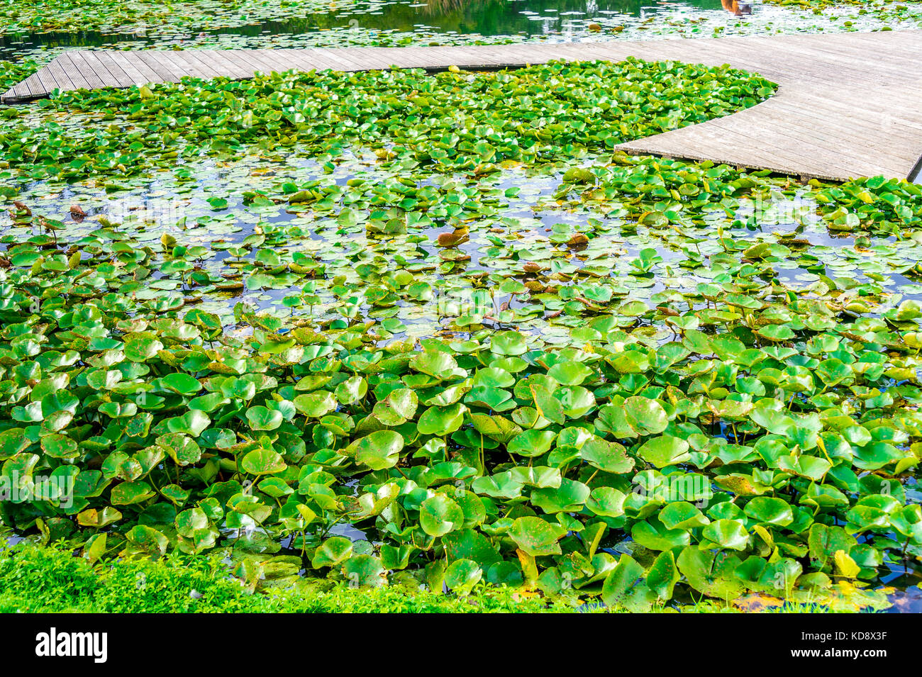 Parc floral de Paris is a public park and botanical garden located ...