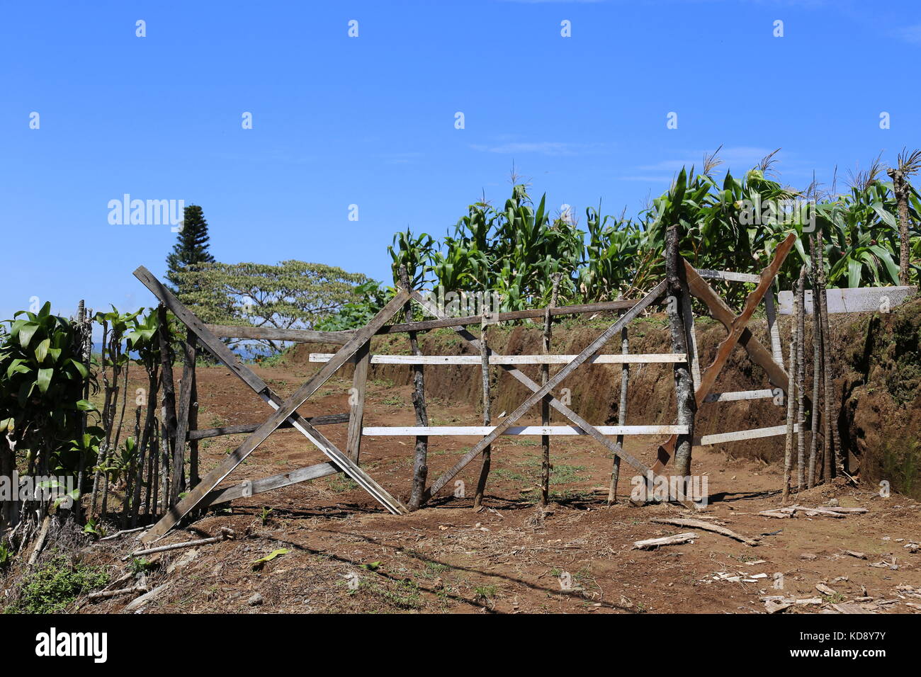 Makeshift gate, Pilas village, Alajuela, Alajuela province, Central ...
