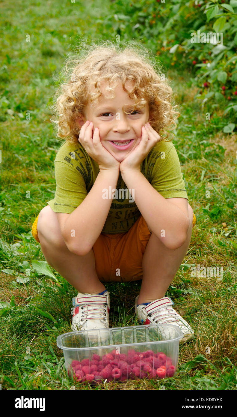 a little blond boy picking raspberries in the garden Stock Photo - Alamy
