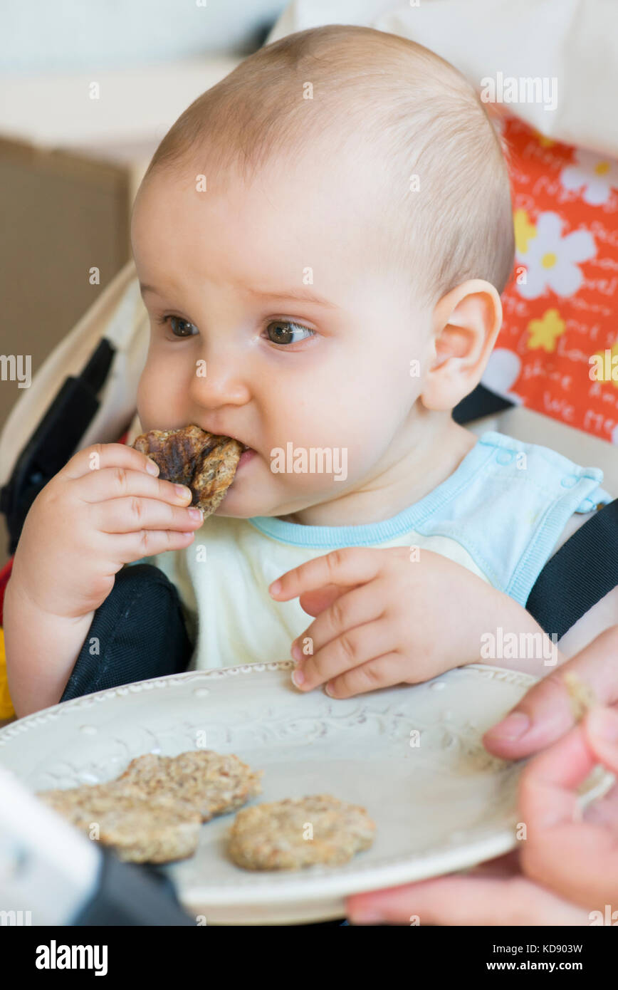 Baby eats alone. Eating homemade biscuits Stock Photo - Alamy
