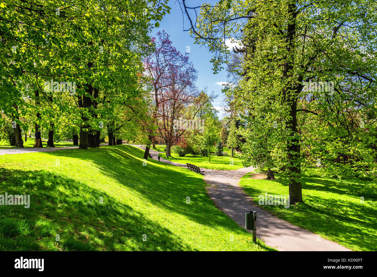 Park in the spring with green lawn, sun light. Stone pathway in a green ...