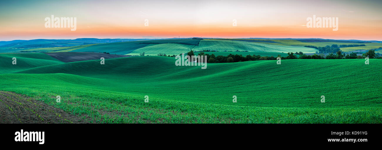 Endless wheat field under blue sky with clouds hi-res stock photography ...