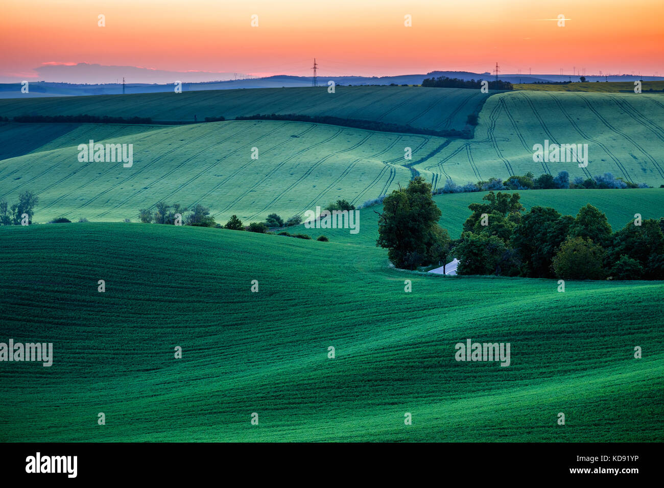 Endless Green Fields, Rolling Hills, Tractor Tracks, Spring Landscape ...