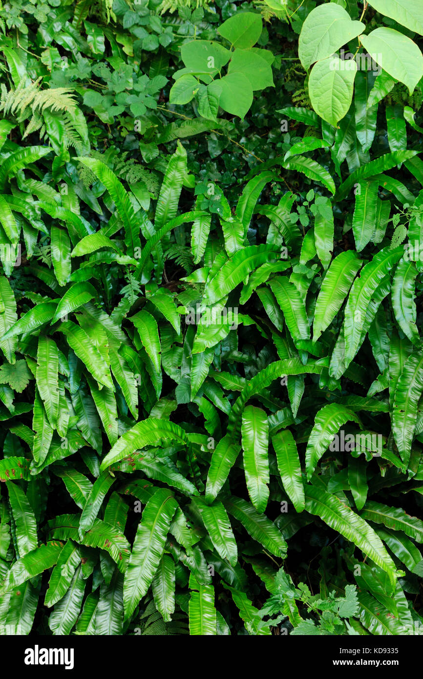 La hague plant hi-res stock photography and images - Alamy