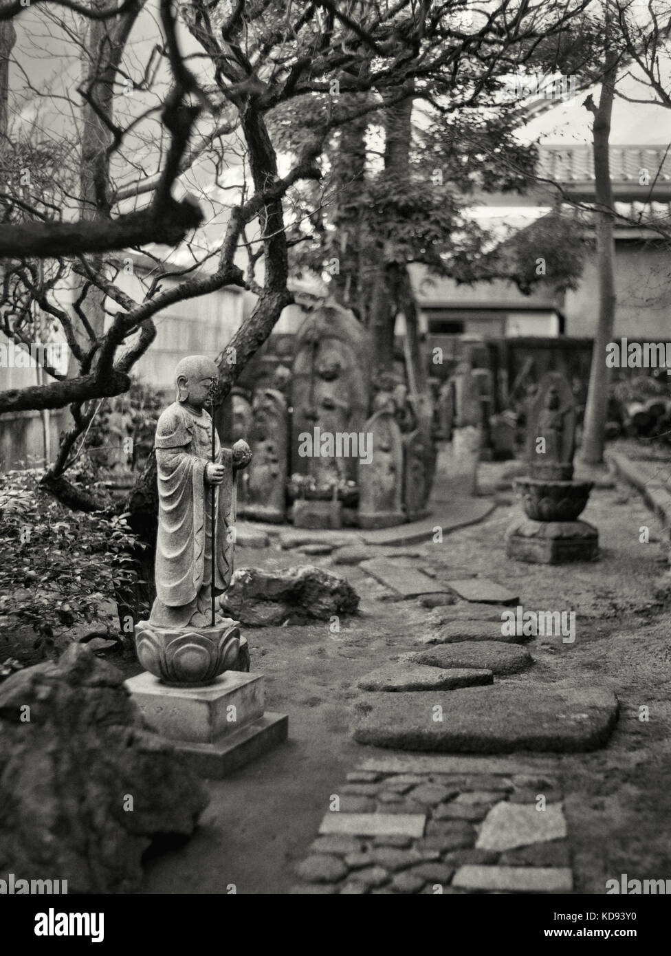 backyard of a small Buddhist temple in Tokyo Stock Photo - Alamy