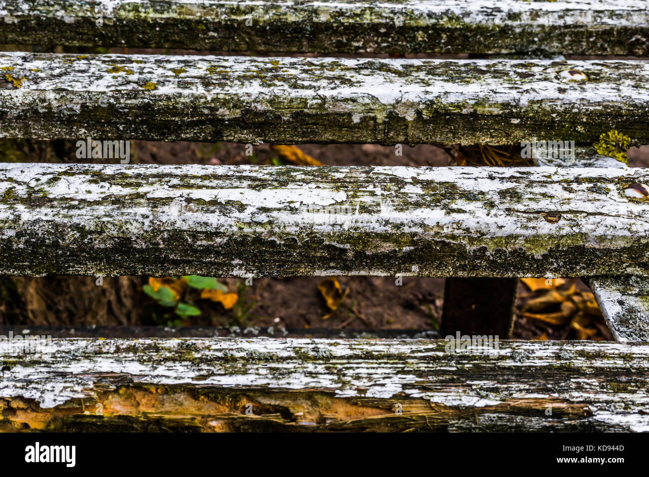 Very old, grunge, rustic wood texture with natural patterns and cracks ...