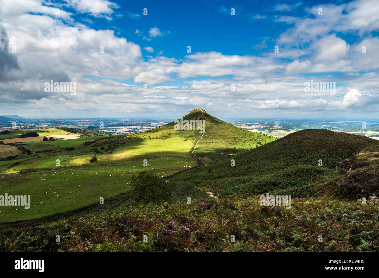 Roseberry Topping, North Yorkshire Stock Photo - Alamy