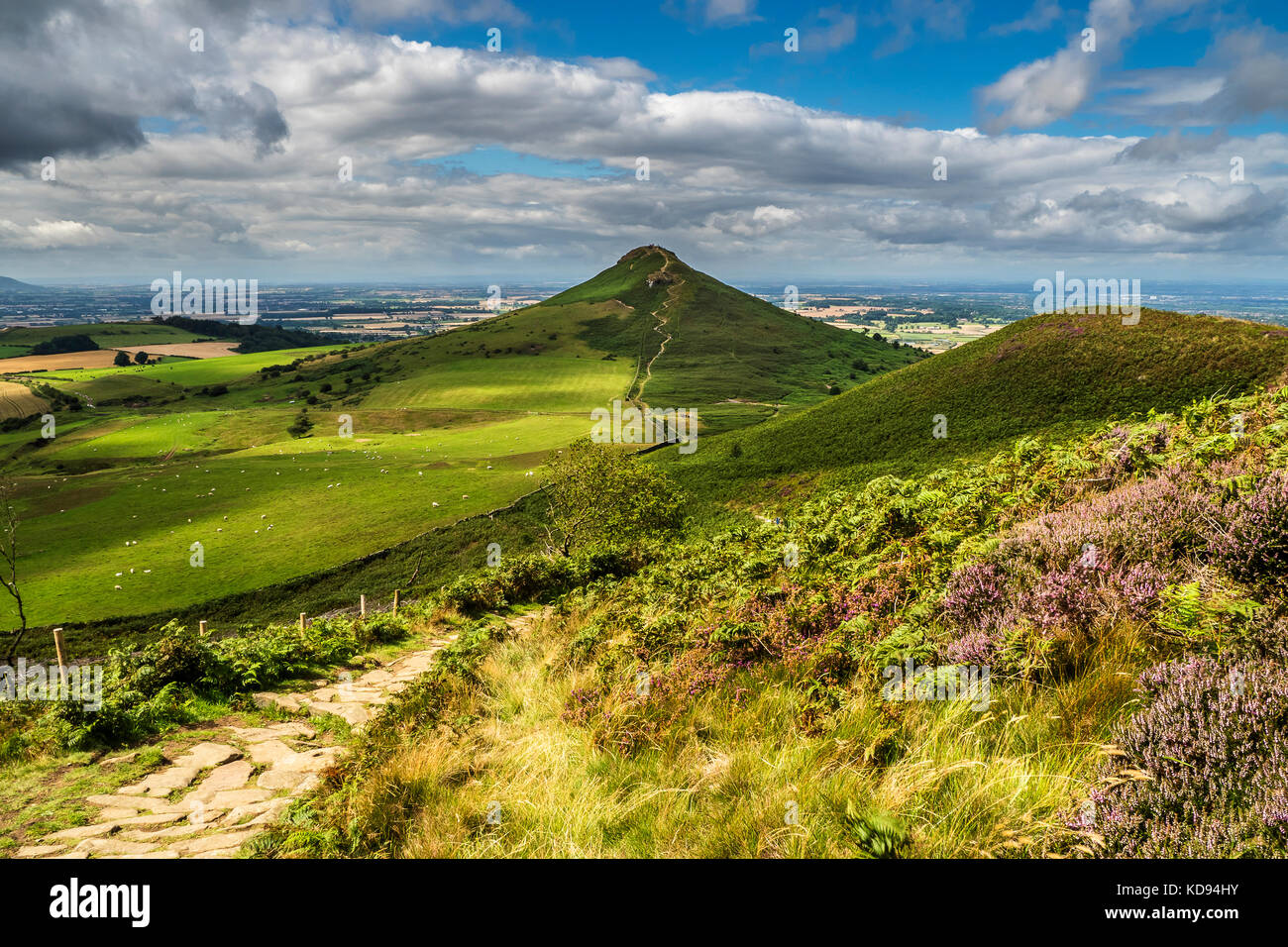 Roseberry Topping, North Yorkshire Stock Photo - Alamy