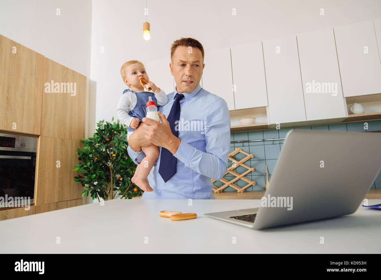 Smart handsome man looking at the laptop screen Stock Photo - Alamy