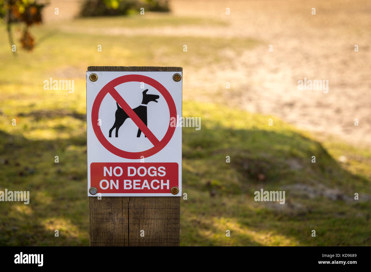 No dogs on beach sign Stock Photo - Alamy