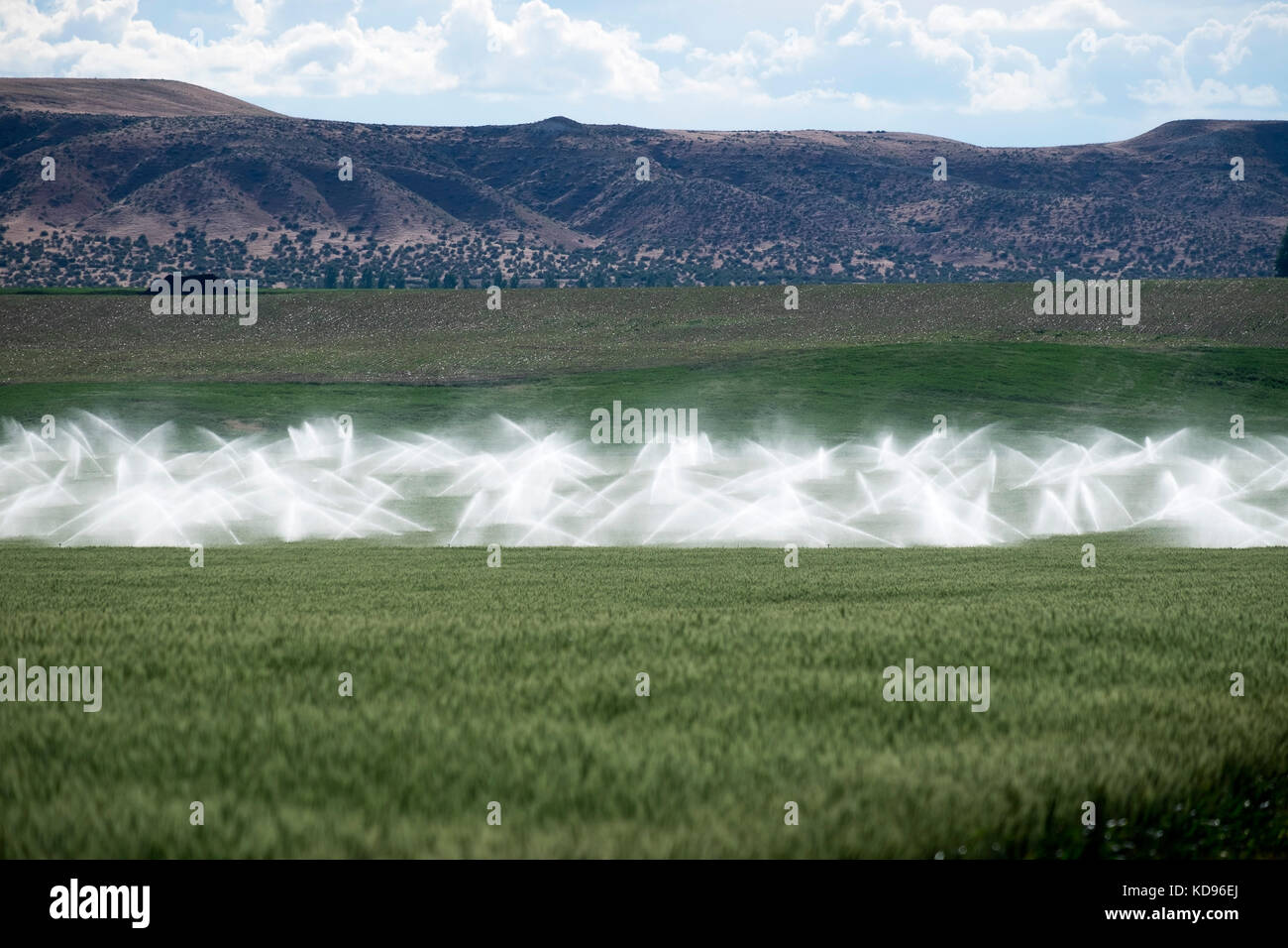Irrigation in Snake River Valley of Idaho Stock Photo - Alamy
