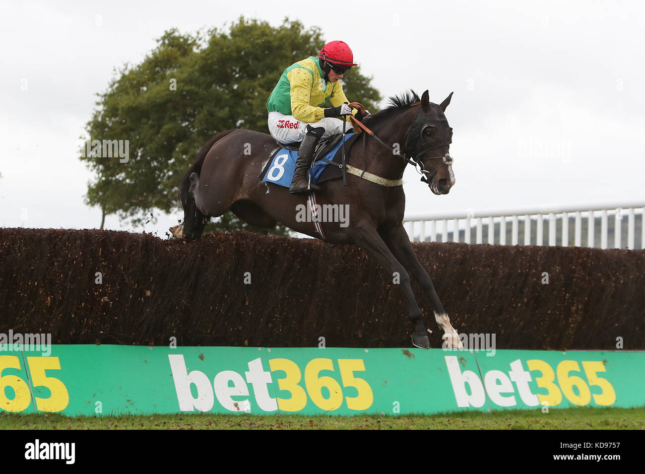 Rowles fine art hi-res stock photography and images - Alamy