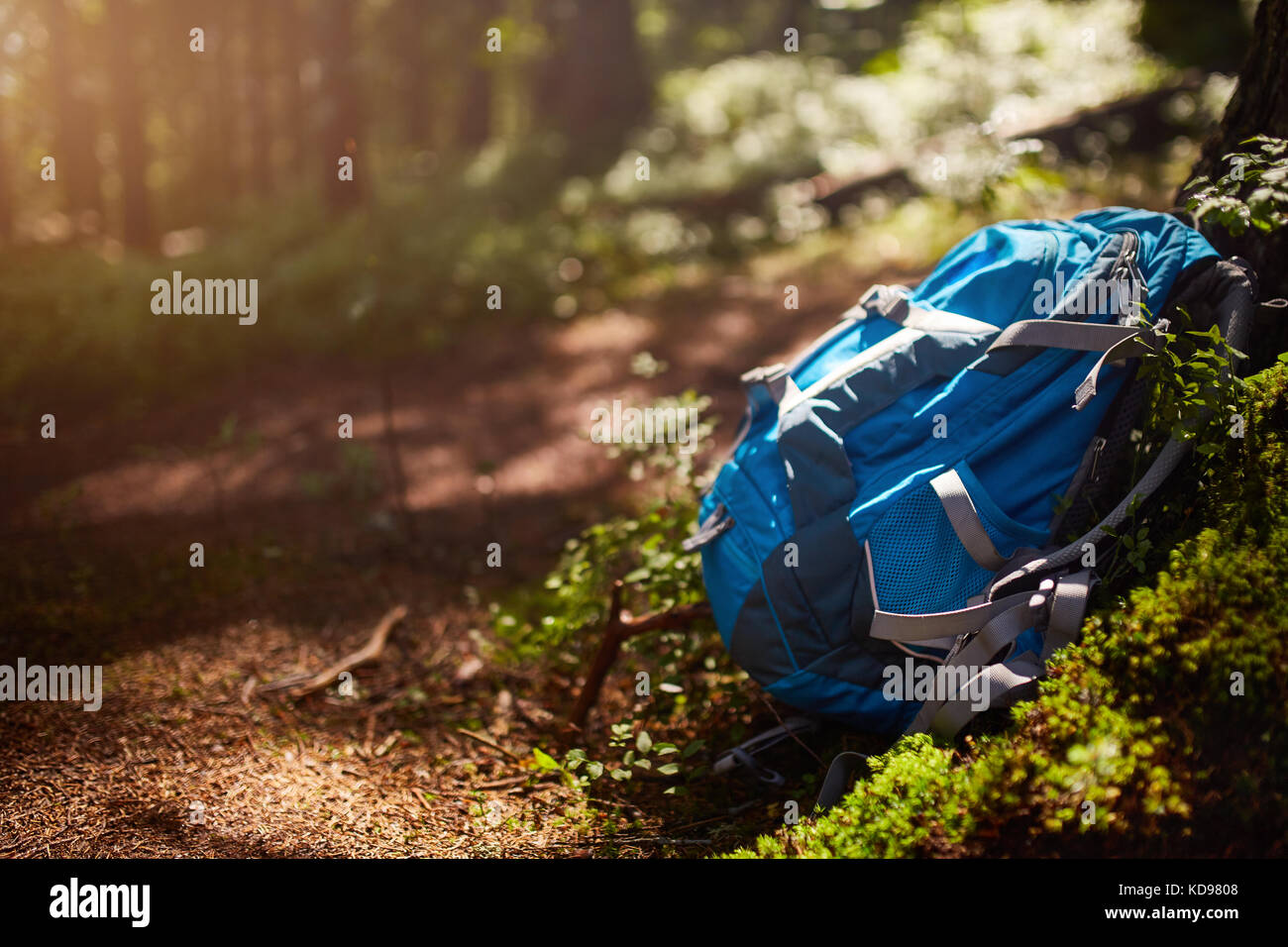 Closeup image tourist backpack at the summer forest Stock Photo - Alamy
