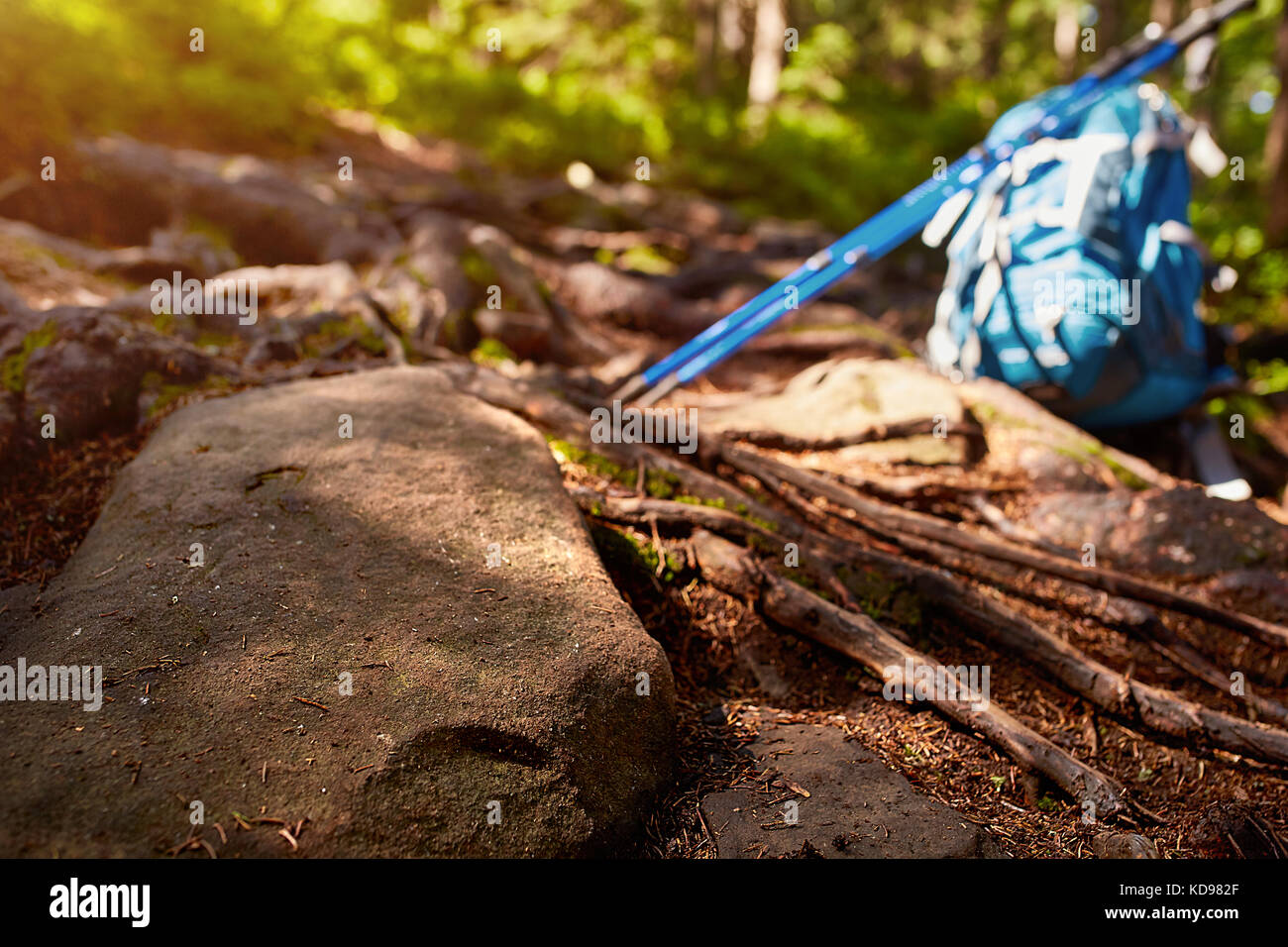 Closeup image tourist backpack at the summer forest Stock Photo - Alamy