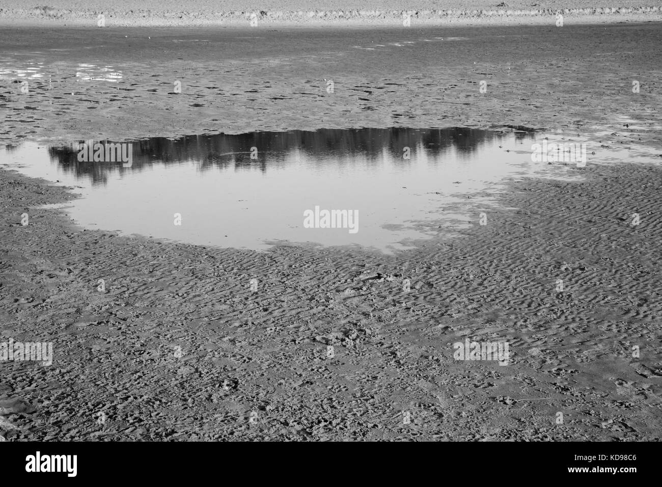 Ebb tide at the Lower saxon wadden sea national park, Lower saxony ...