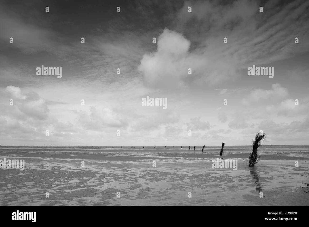 Clouds over the wadden sea, Lower saxon wadden sea national park, Lower ...