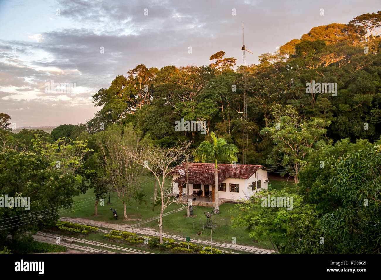 Floresta ombrofila densa hi-res stock photography and images - Alamy