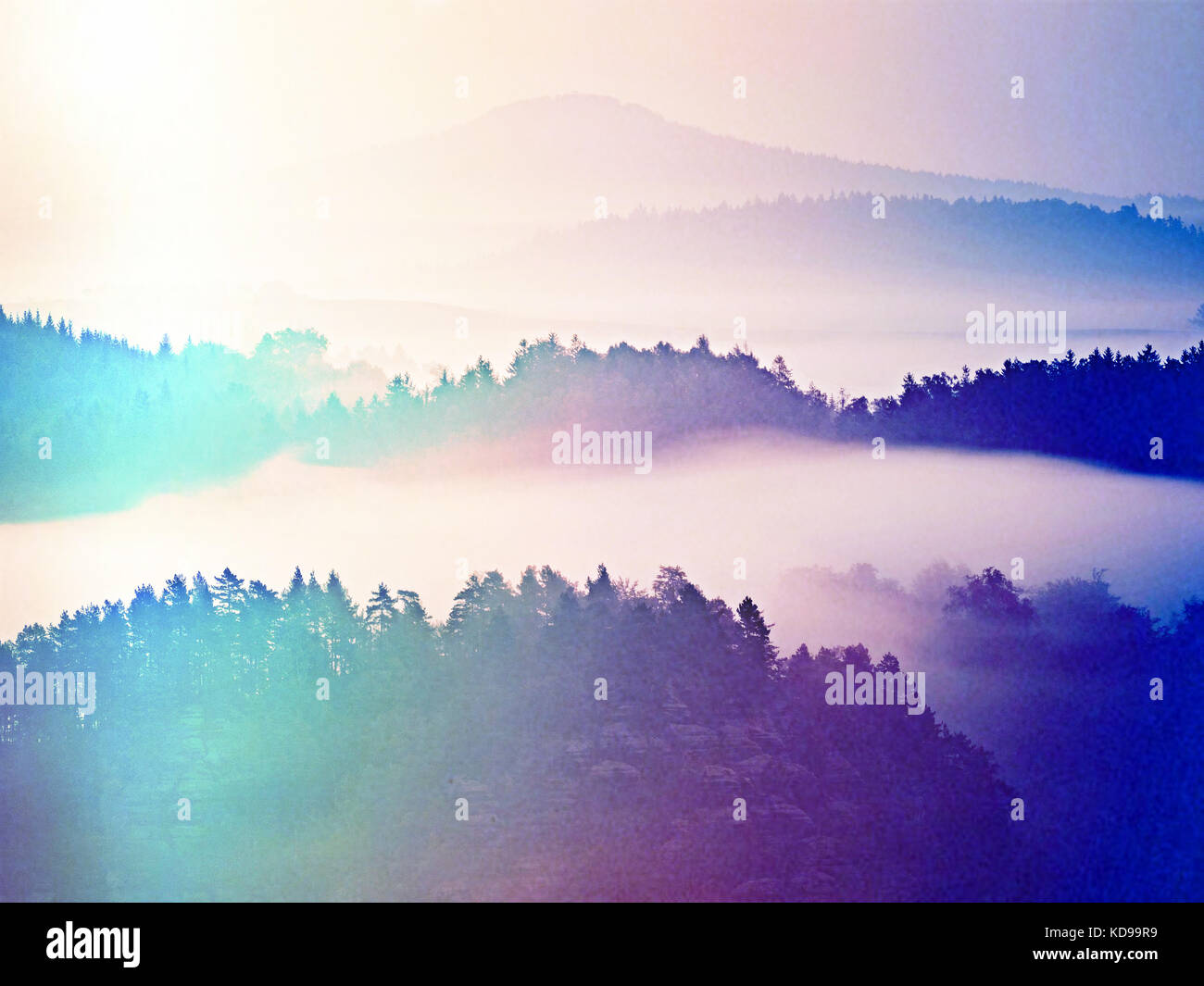 Lens defect. Stripped colorful mist. Summer forest after heavy rainy ...