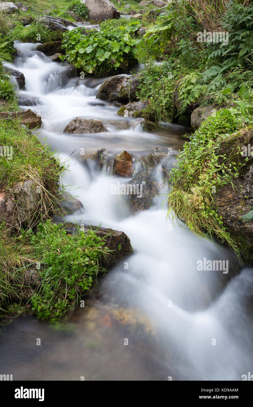 Mountain stream with stones with clear water Stock Photo - Alamy