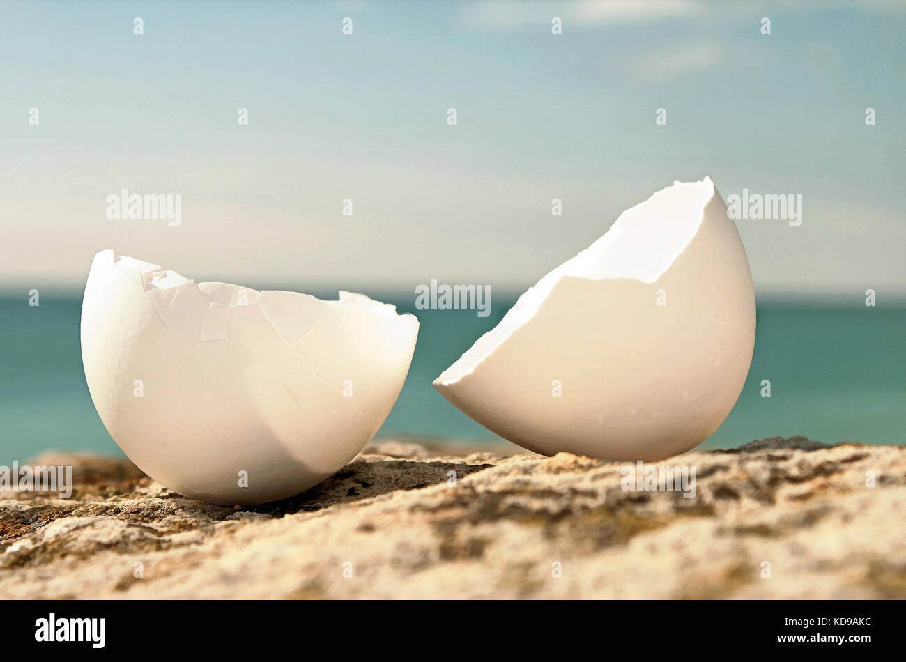 Empty eggshell on the background of the sea Stock Photo - Alamy