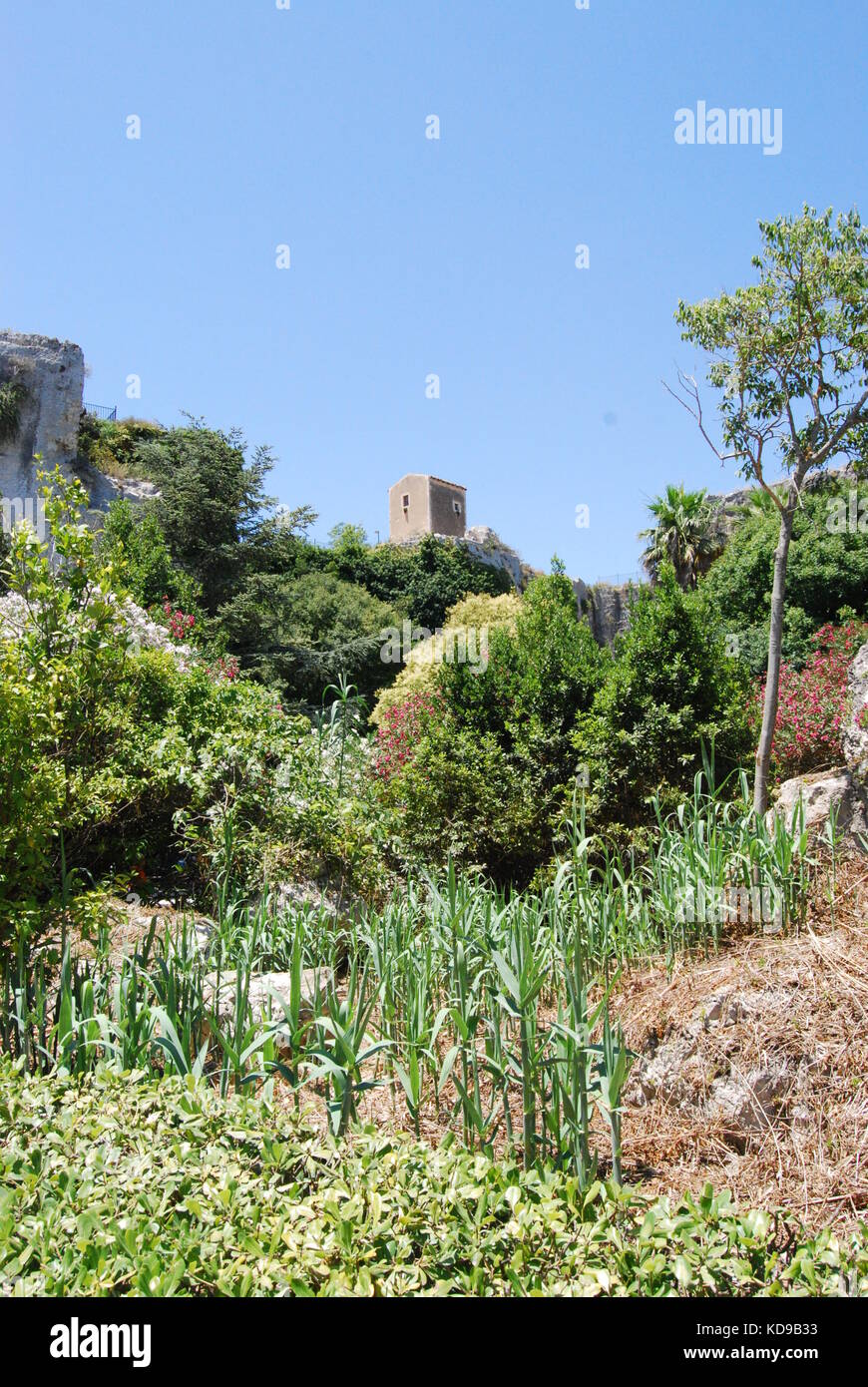 Ancient Greek archaeological sites in Syracuse, Sicily, Italy. Quarry ...