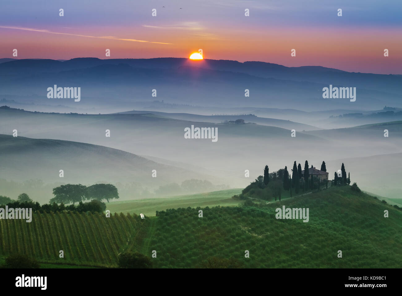 Stunning foggy green fields at sunset in Tuscany Stock Photo - Alamy
