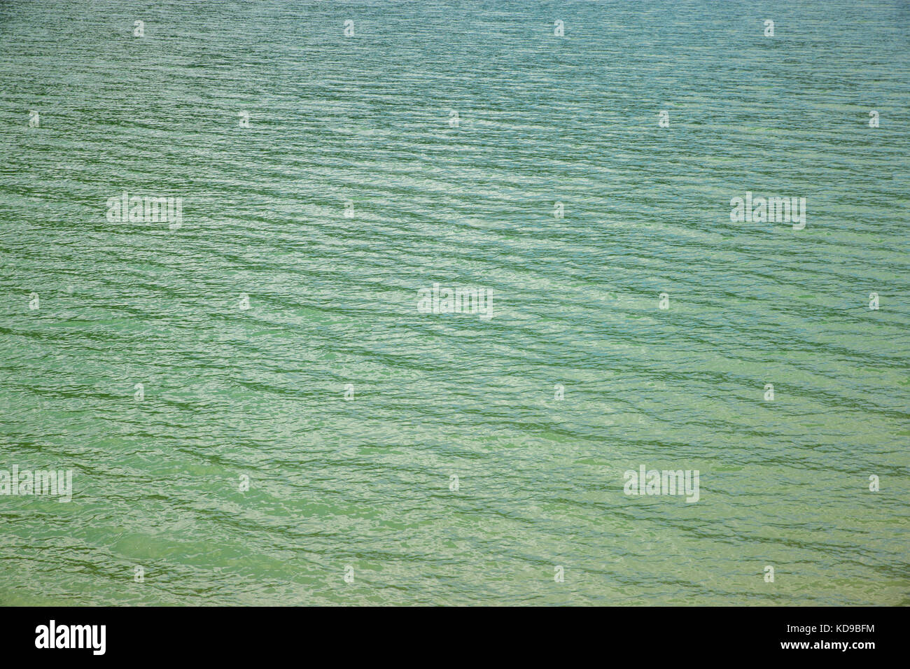 Turquoise Water Waves Background of Ocean or Lake, Europe Stock Photo ...