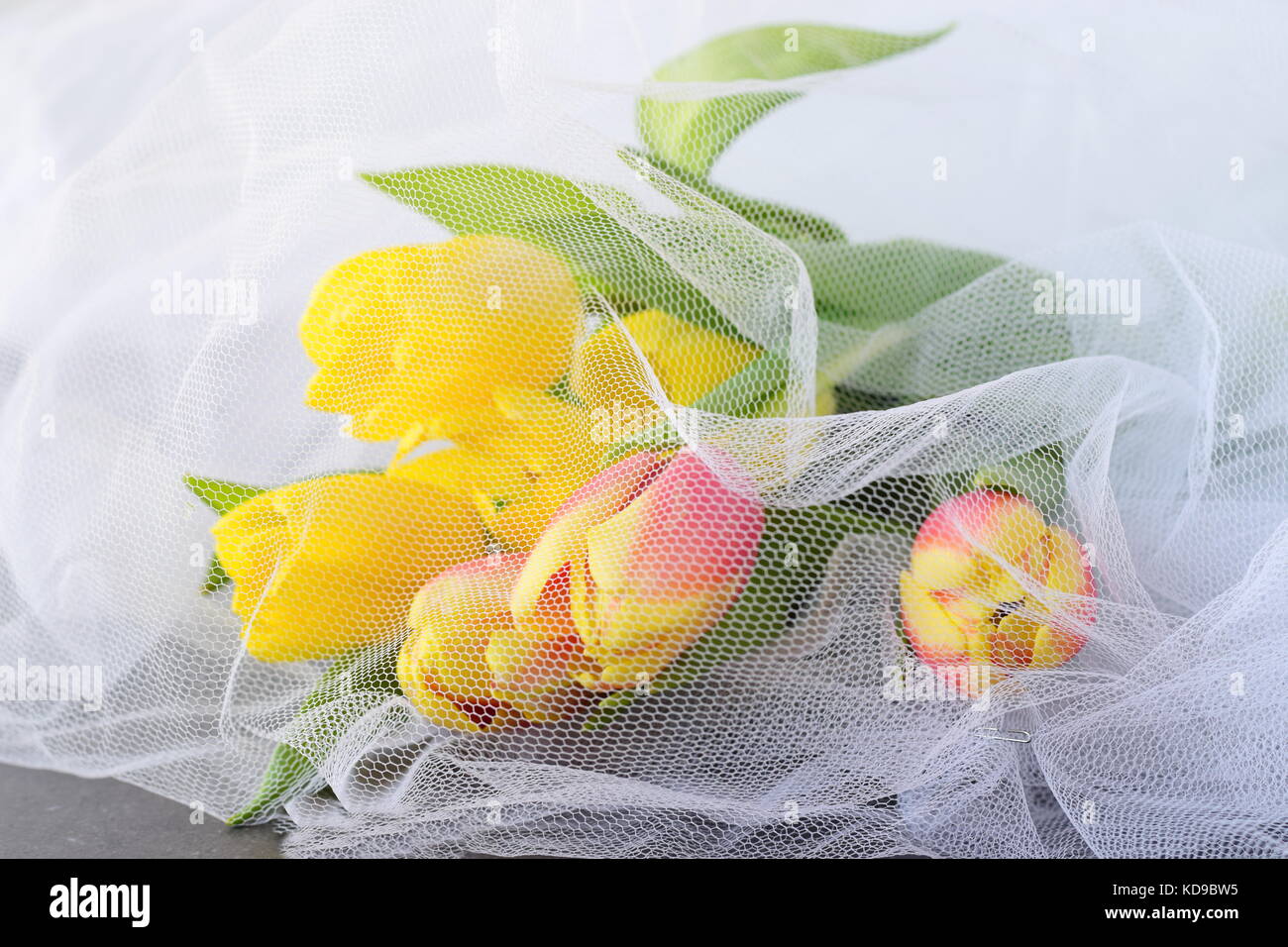 Yellow tulips on a white airy cloth texture Stock Photo - Alamy