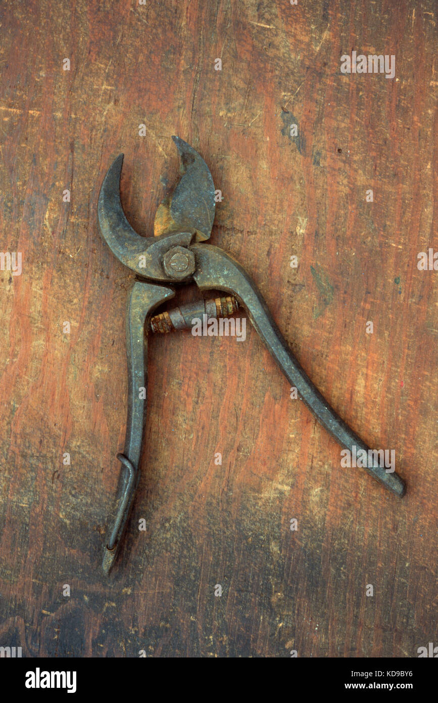 Ganrdening hi-res stock photography and images - Alamy