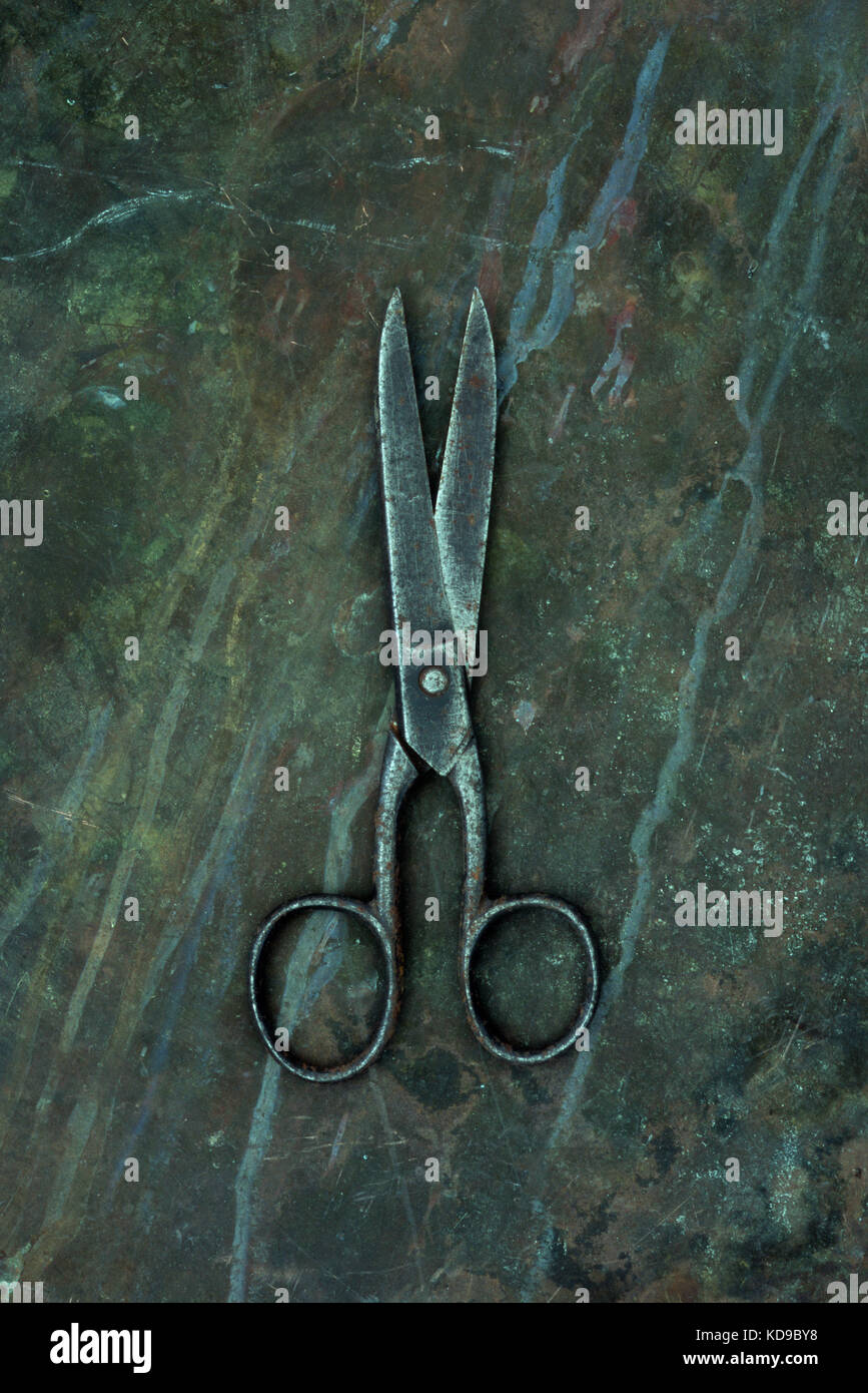 Pair of tarnished medium sized scissors lying on stained metal Stock ...