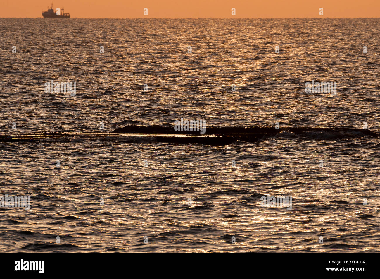 Ship on the horizon hi-res stock photography and images - Alamy