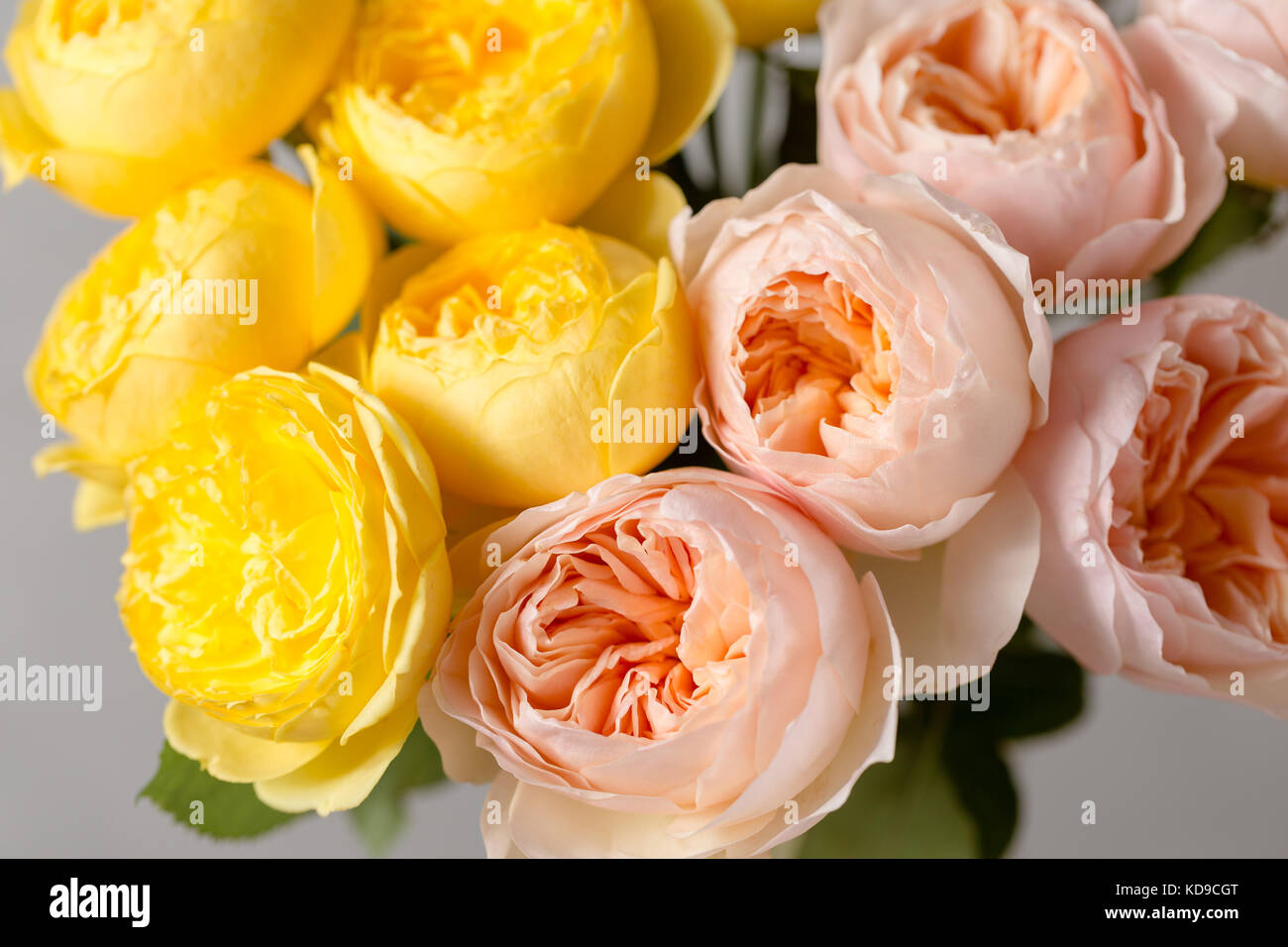 Bouquet of soft pink and yellow garden roses in a glass vase. Floral ...