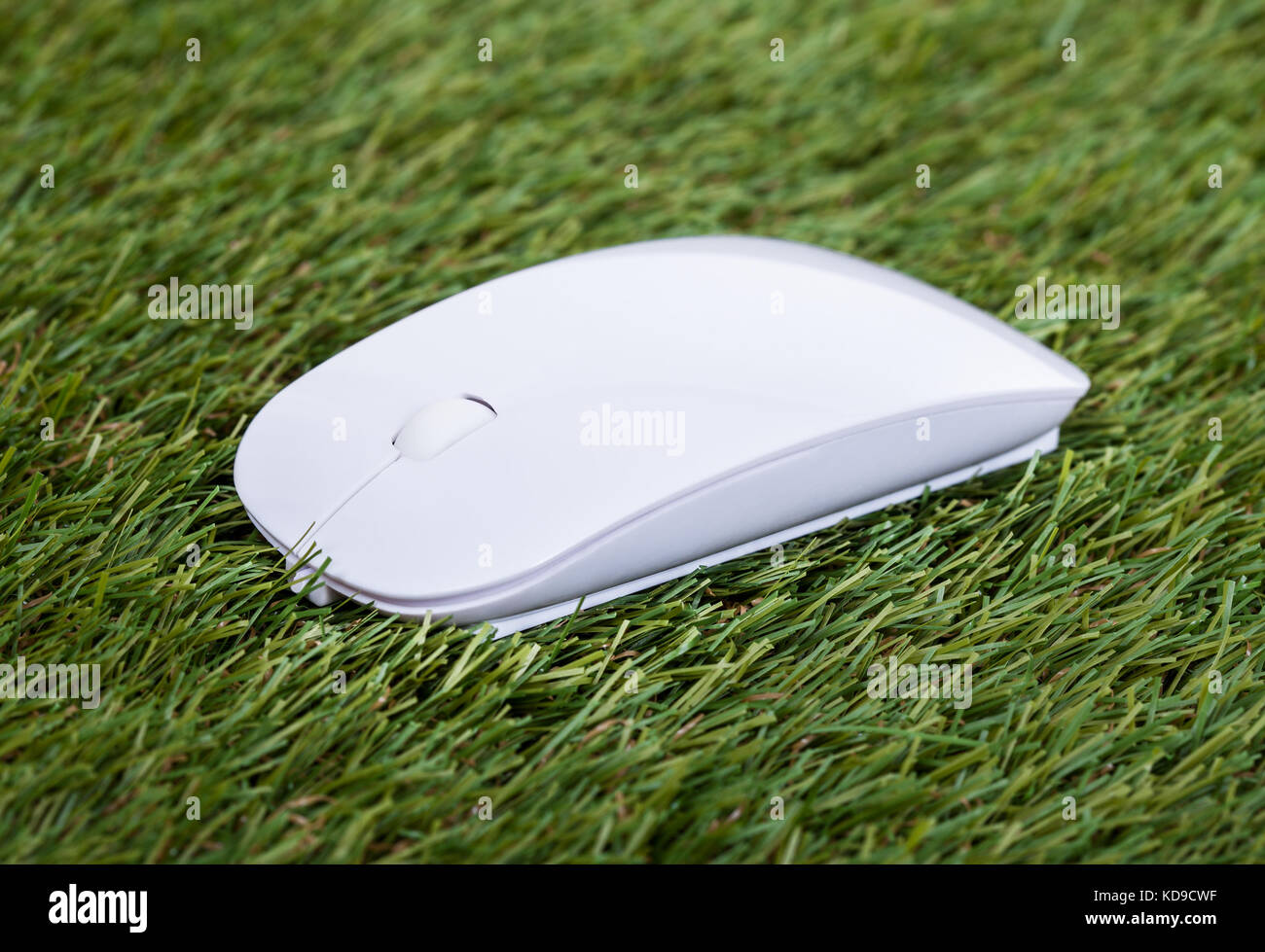 Close-up Of White Computer Mouse On Green Grass Stock Photo - Alamy