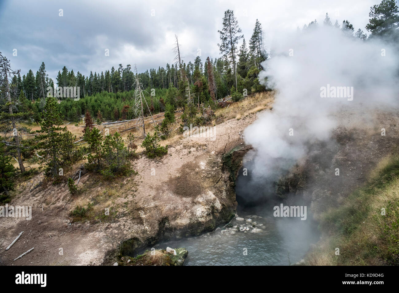 Dragons Mouth Spring at Mud Volcano, Yellowstone National Park, Wyoming ...