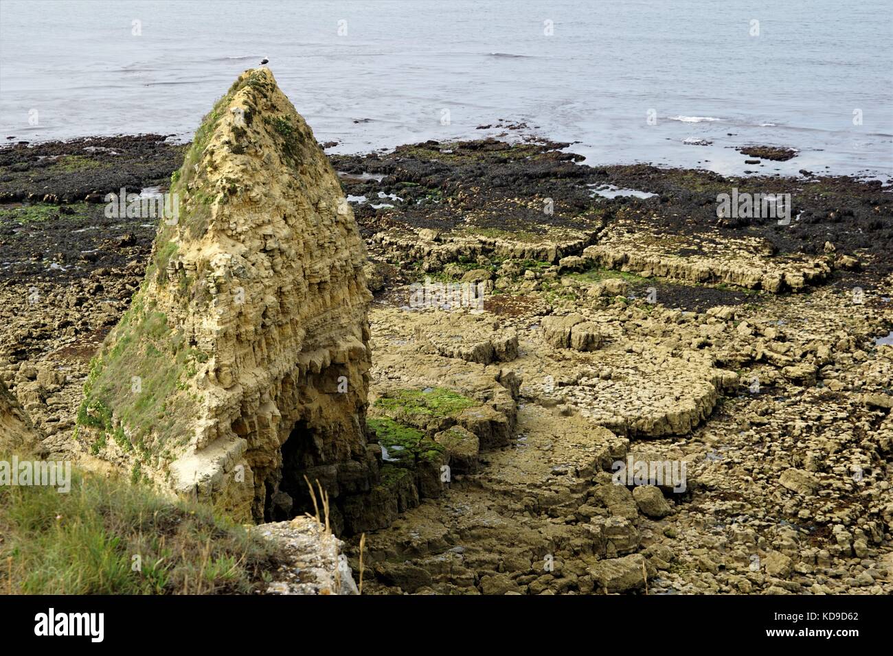 Large seafront boulder hi-res stock photography and images - Alamy
