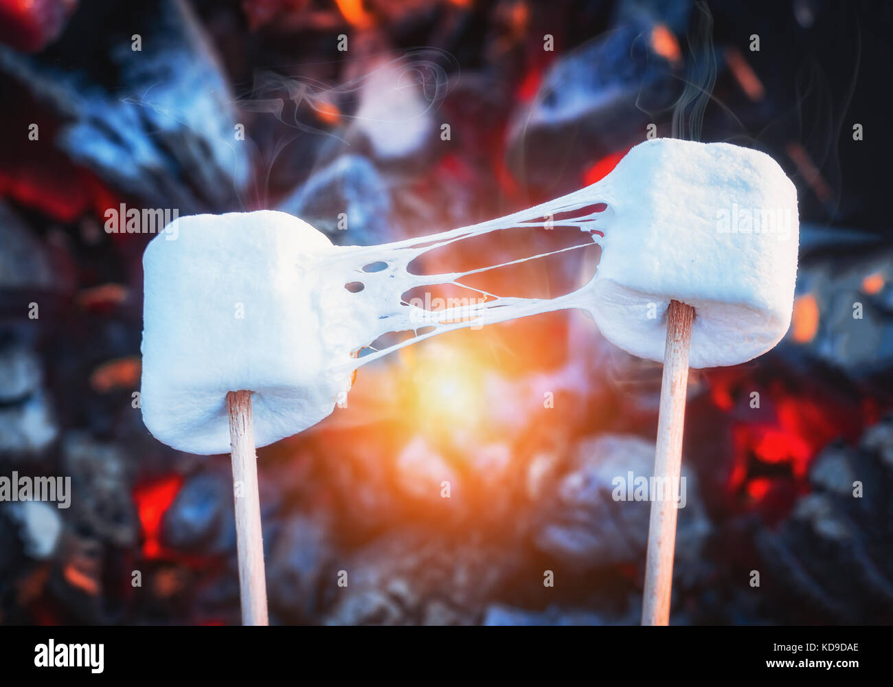 Two stretchy marshmallows roasting over fire flames. Marshmallow on ...