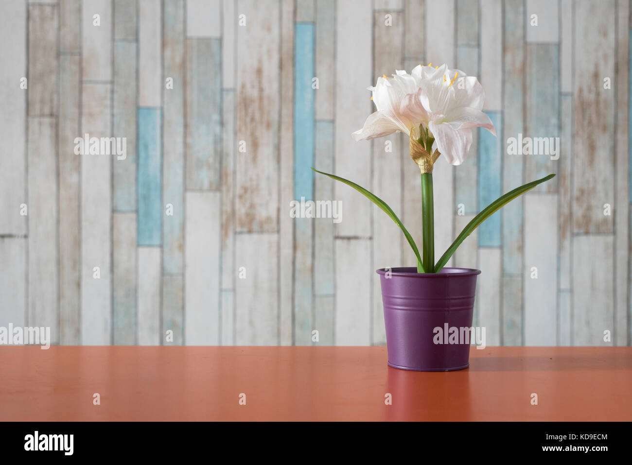 flowers in small pots on a table. Artificial flower Stock Photo - Alamy