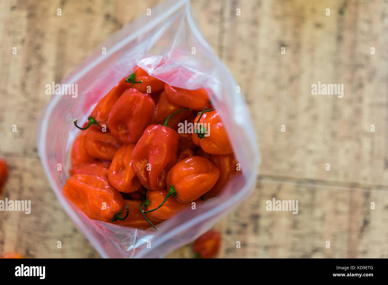 Bell Pepper (Tatashe) and Scotch Bonnet Pepper ( Ata rodo) used in ...