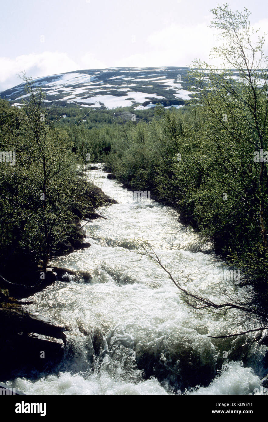 RAPIDS in mountain at spring 2009 Stock Photo - Alamy