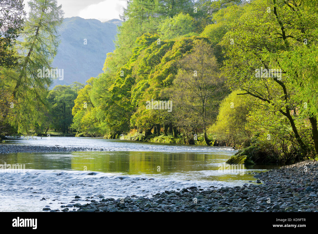 River derwent cumbria hi-res stock photography and images - Alamy
