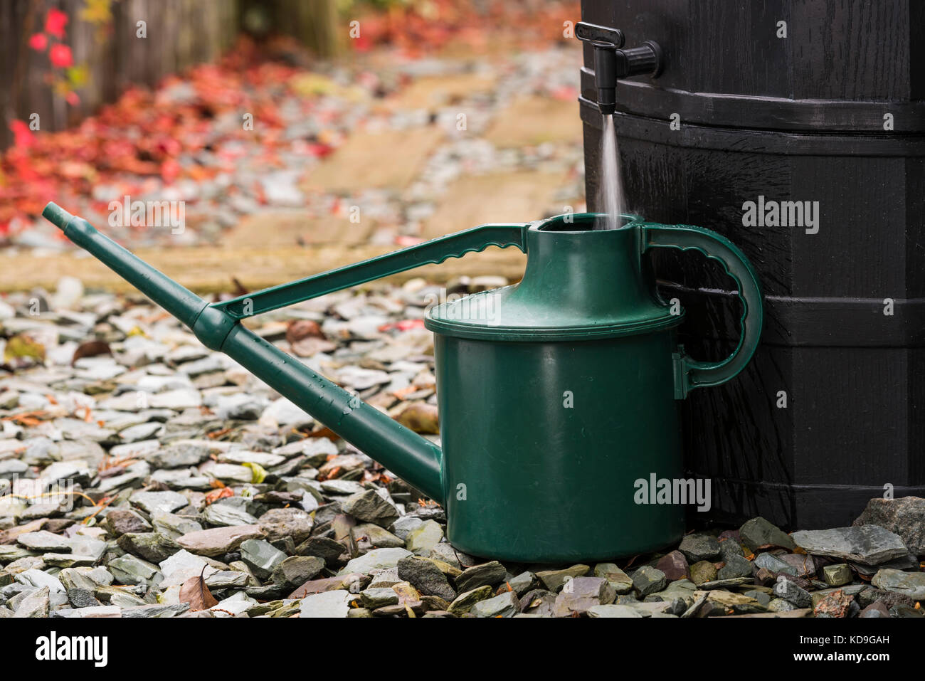 Water butt and green watering can, ecology, water storage,rainwater ...