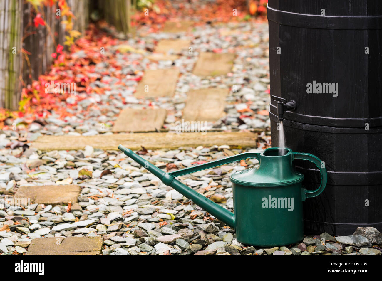 Water butt and green watering can, ecology, water storage,rainwater ...