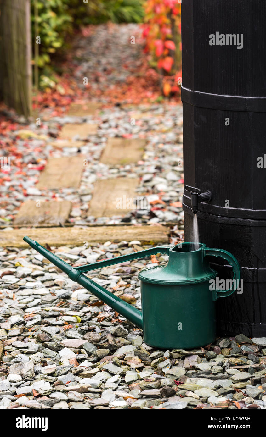 Water butt and green watering can, ecology, water storage,rainwater ...