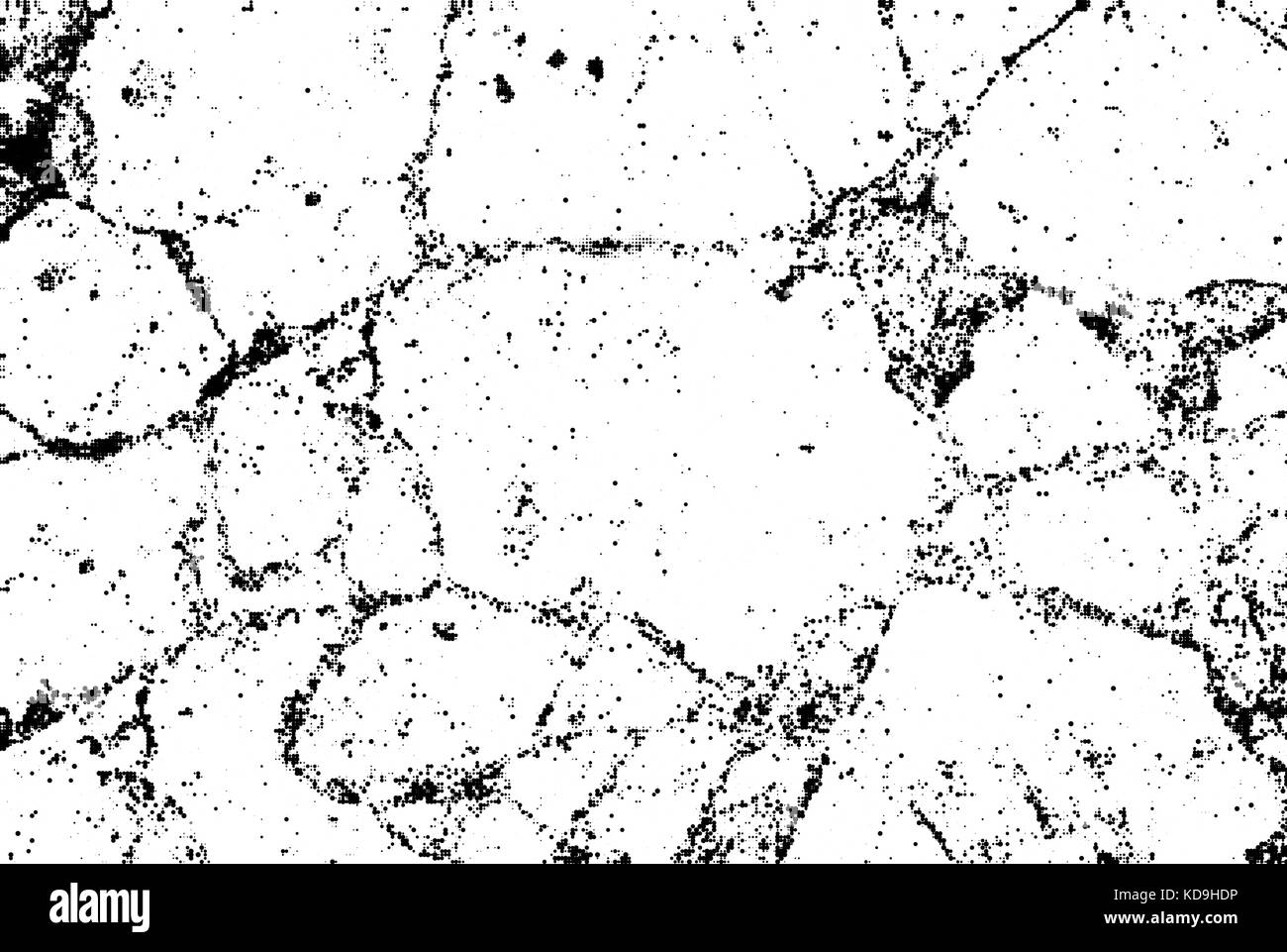 Black Subtle Texture