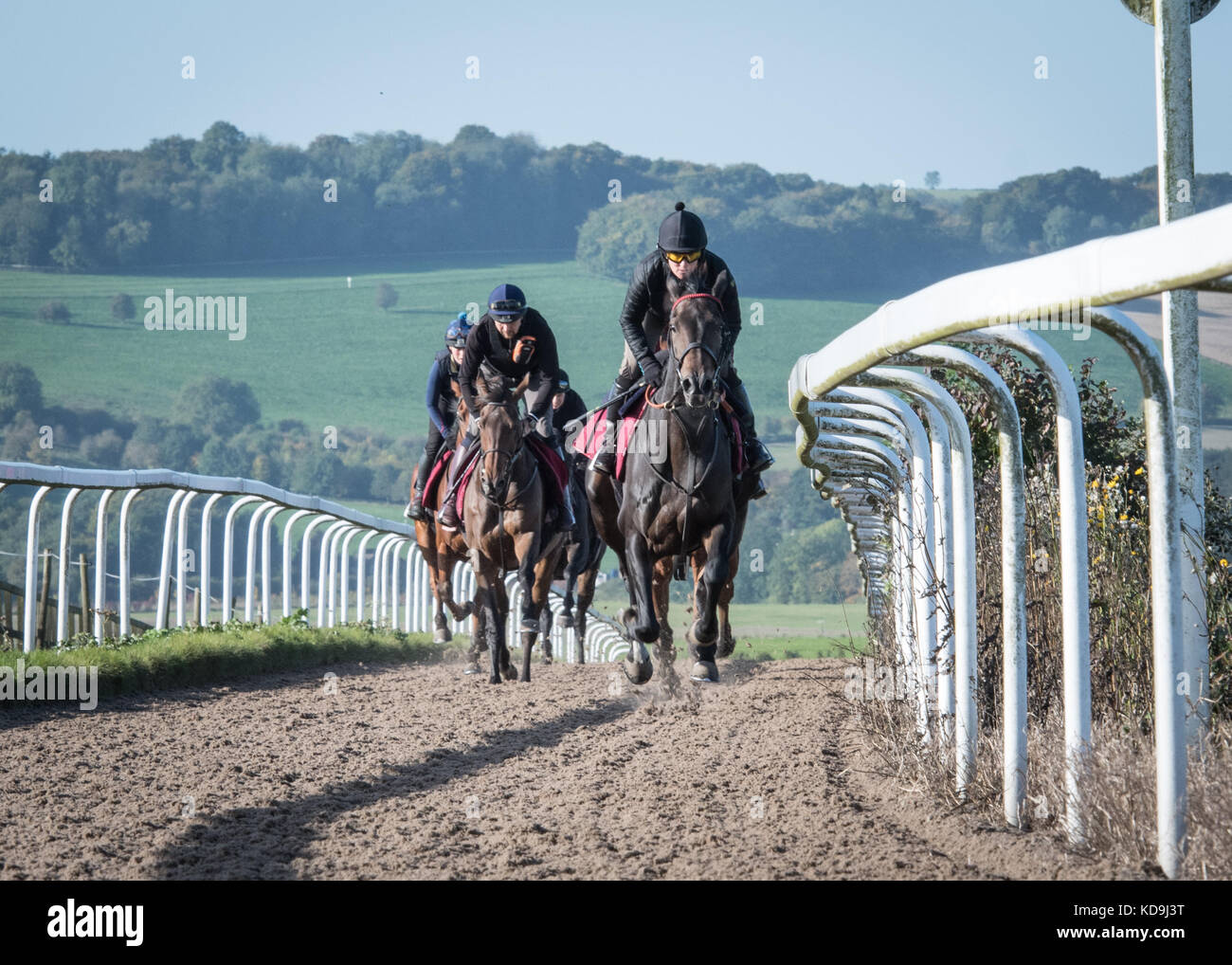 Racehorses on the Lambourn Gallops Stock Photo - Alamy