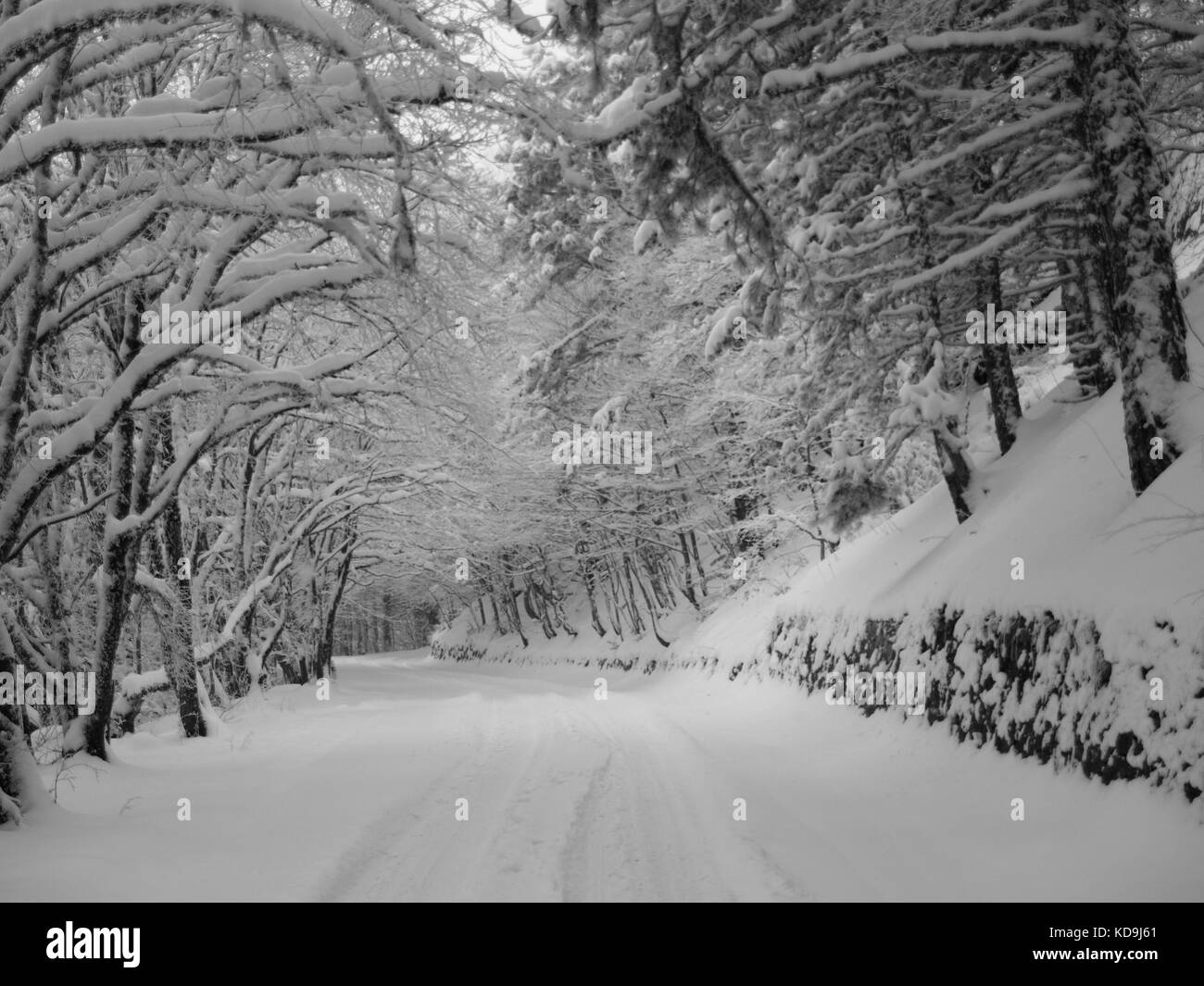Scenic rural road winding Black and White Stock Photos & Images - Alamy