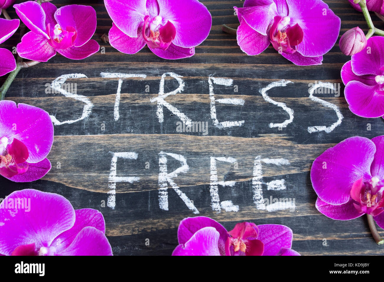 Words Stress Free with Pink Orchid on Rustic Wooden Background Stock ...